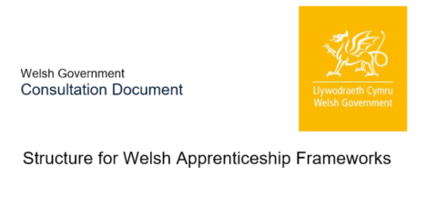 Structure for Welsh apprenticeship frameworks - FIS