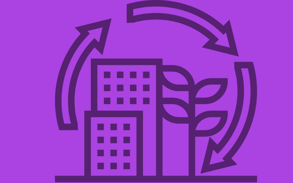 New Net Zero Strategy for decarbonising the UK economy - FIS