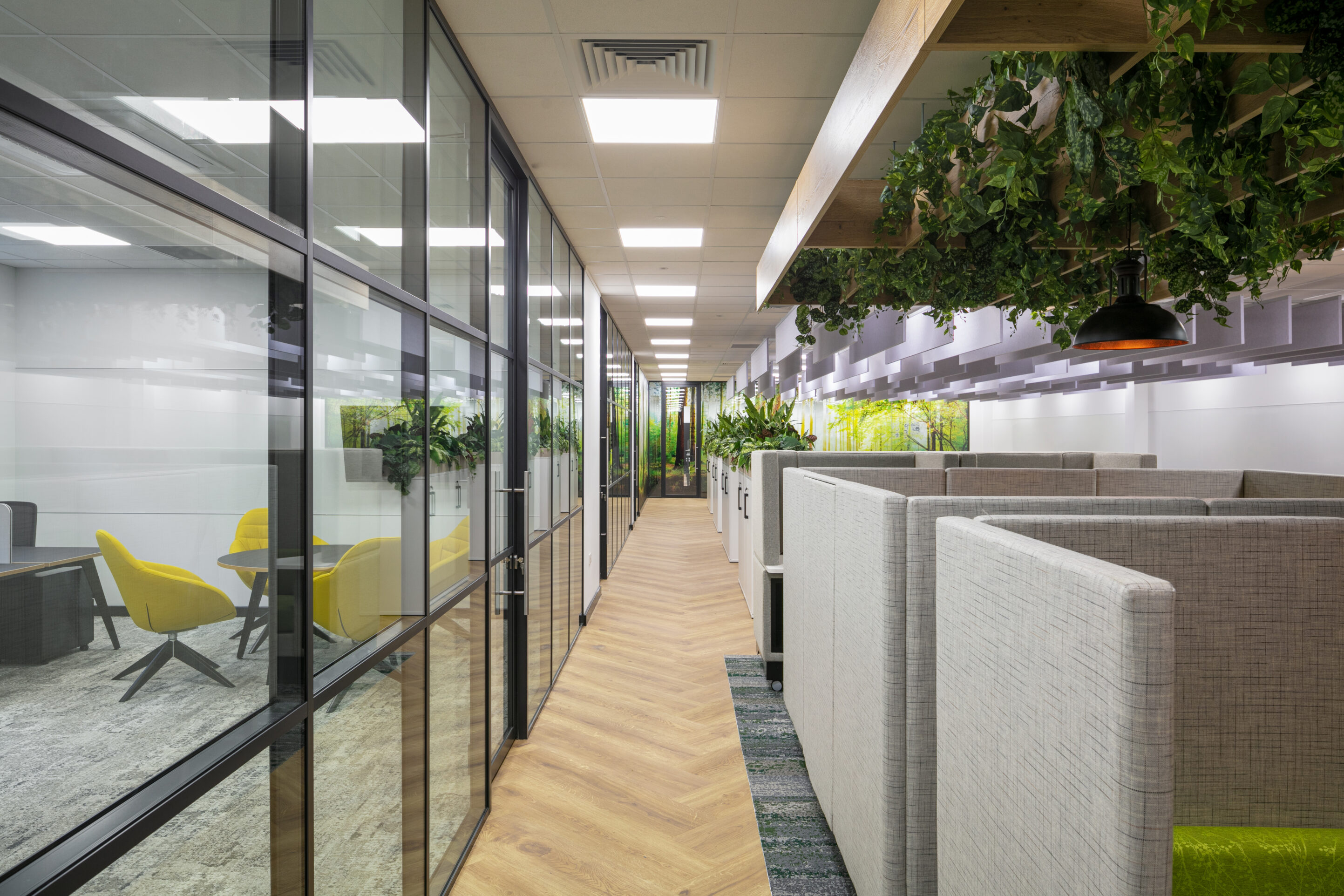 SureScreen Diagnostics - FIS