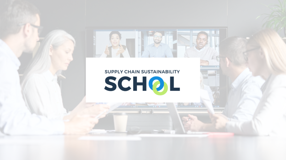 Progressing Sustainable Procurement: Driving Sustainable Supply Chains ...