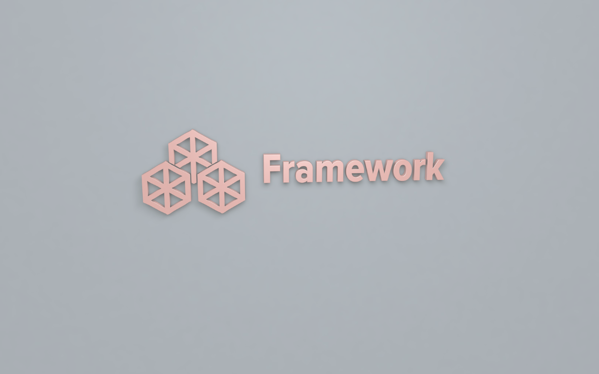 SFS competency framework - FIS